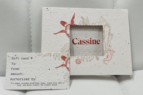 Corporate Gifting – Cassine